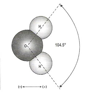 Learn More – Vortex and Magnetic Effects – Vibrant Vital Water